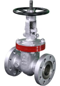 Gate Valve Manufacturers | Gate Valve Bolted Bonnet - IPC Valves