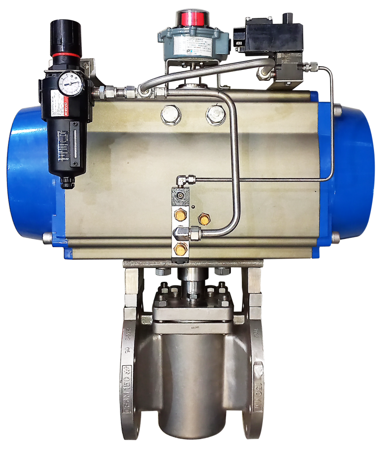 Unleashing the Power of Sleeved Plug Valves