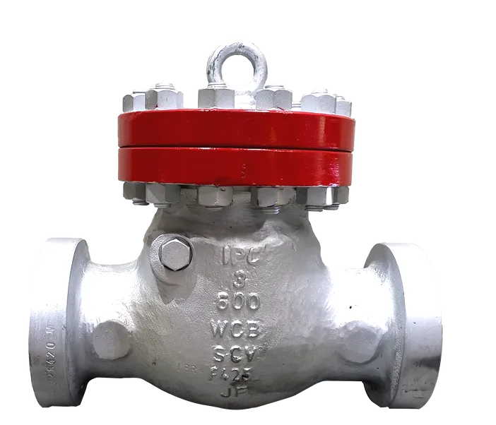 Swing Check Valve - ipc valves