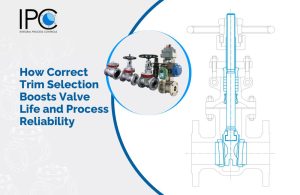 How Correct Trim Selection Boosts Valve Life & Process Reliability